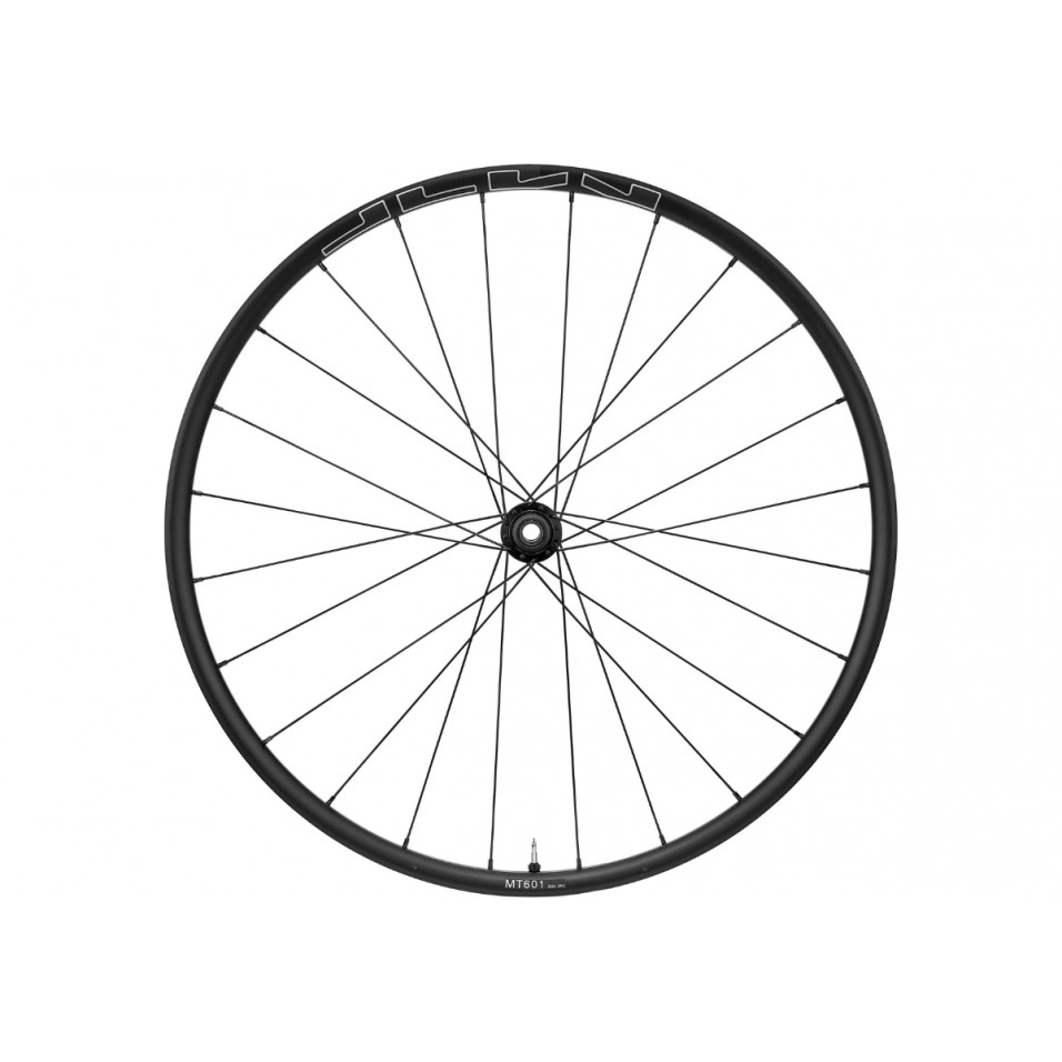 Acheter Roue Shimano WH-MT601 Disc E-Thru 15 mm à partir de 29 | Roues VTT